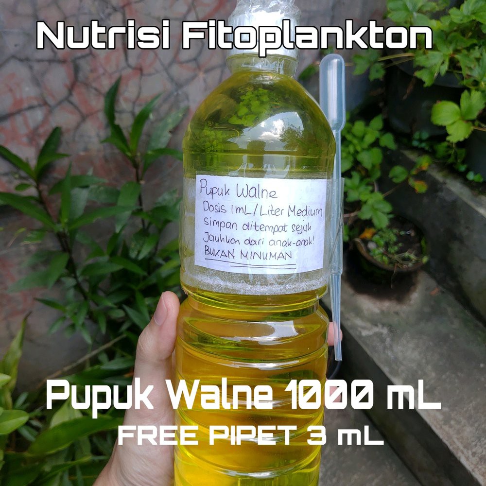 Jual Pupuk Walne 1000 mL Kultur Phytoplankton Alga Spirulina ...