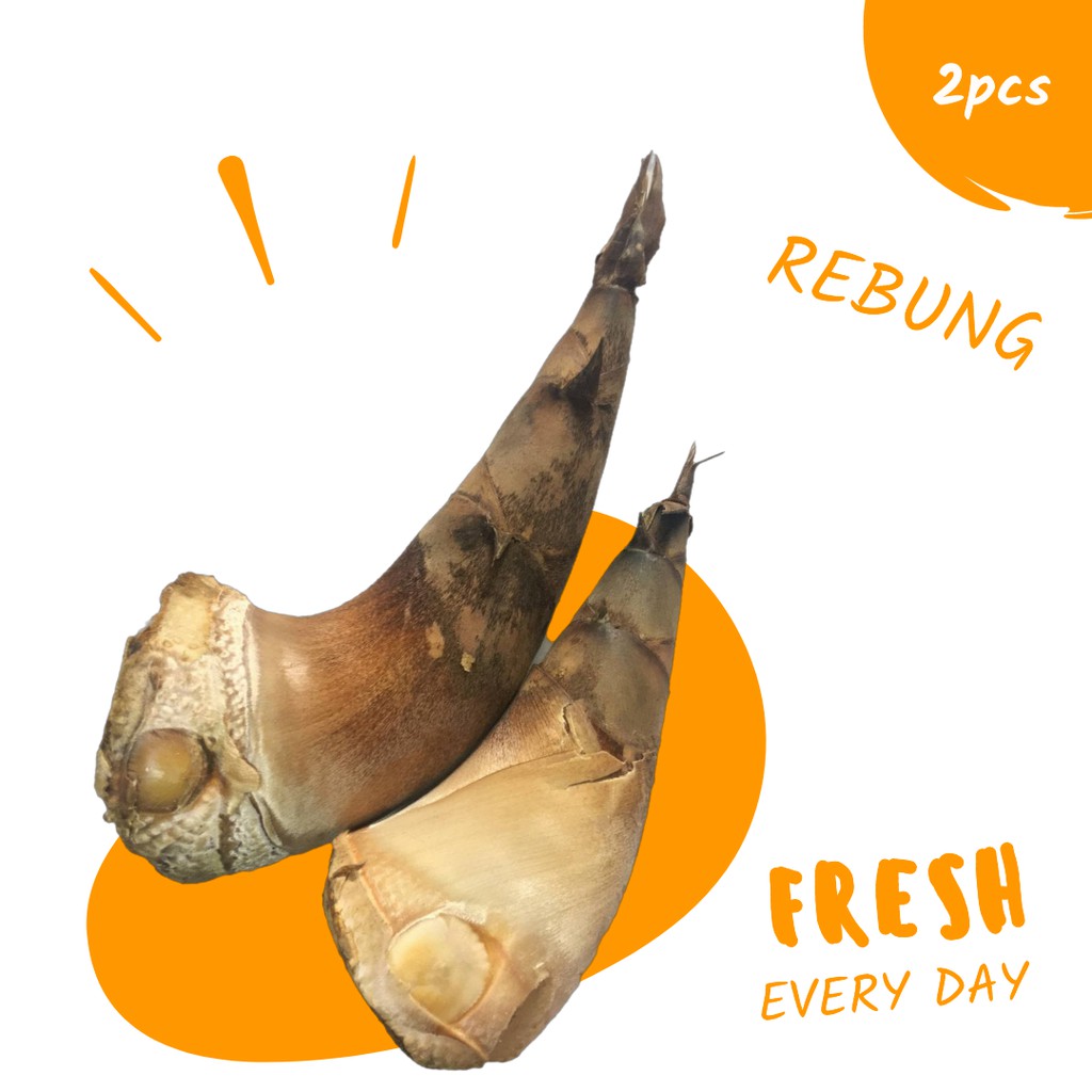 Jual Sayur Sayuran REBUNG REBONG PER BIJI FRESH Segar Murah Sayuran ...