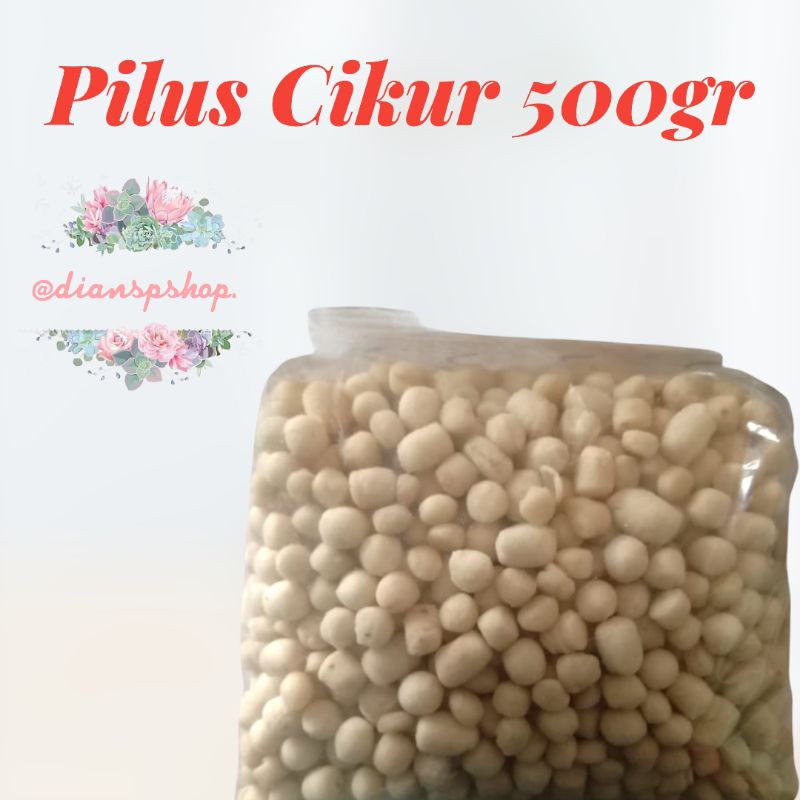 Jual Sukro Cikur pilus kencur 500gr || dianspshop | Shopee Indonesia