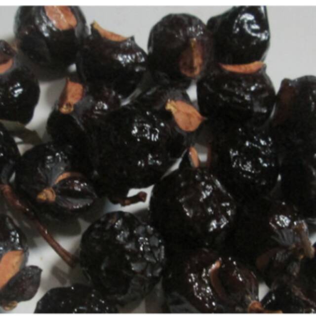 Jual Buah lerak 1 kilogram - 500 gram | Shopee Indonesia