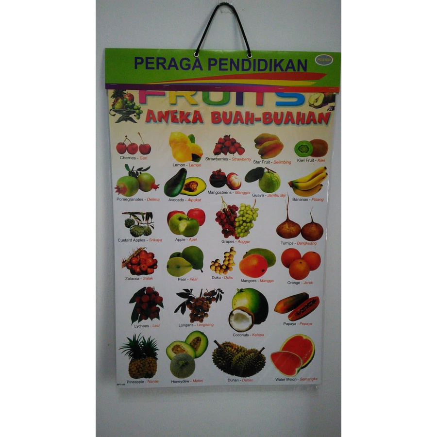 Jual Poster buah buahan fruits | Shopee Indonesia