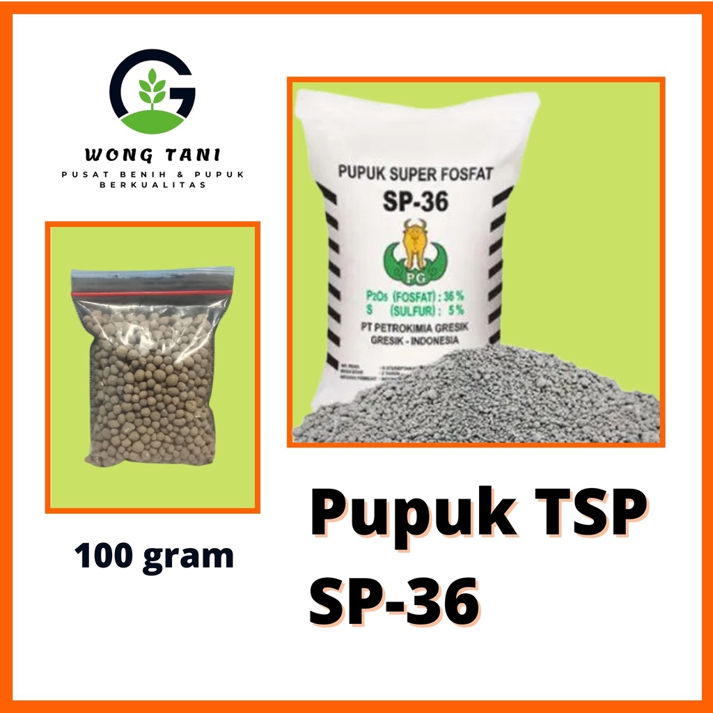 Jual Pupuk TSP SP-36 Pupuk Penyubur dan Pembenih Tanah Repack 100 gram ...