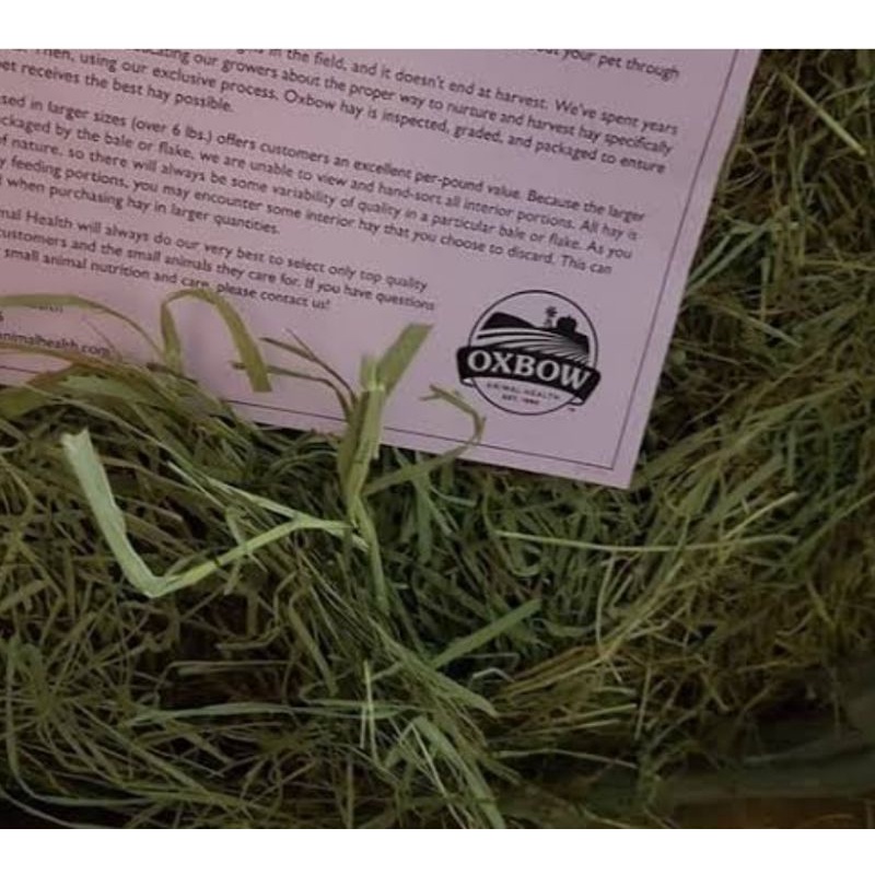 Jual Oxbow timothy hay 500gr/ Oxbow timothy hay 1kg | Shopee Indonesia