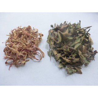 Jual Simplisia daun dan bunga kecombrang | Shopee Indonesia