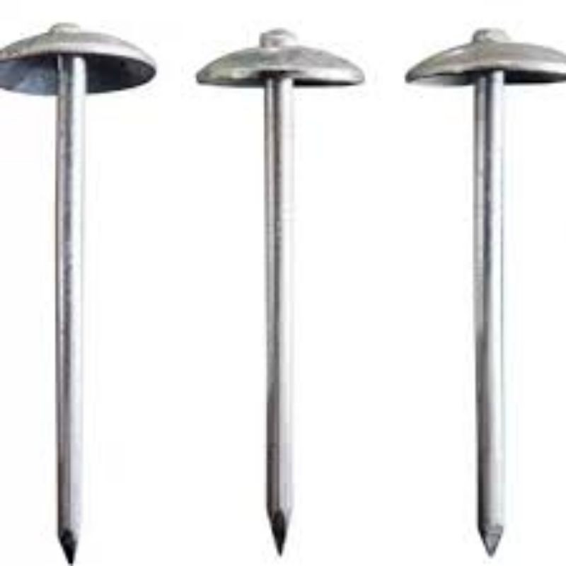 Jual Paku Asbes Seng 5cm & 7cm / harga per kg / paku payung 1kg full ...