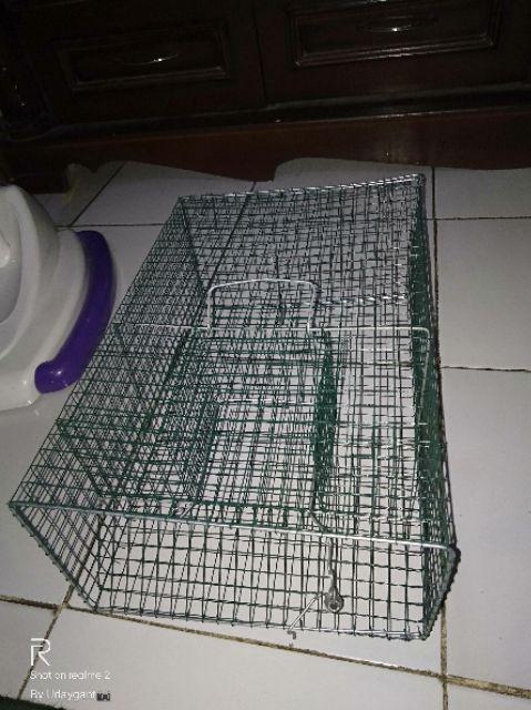 PERANGKAP TIKUS MASSAL / JEBAKAN TIKUS UKURAN 39 CM ( BESAR ) | Shopee ...