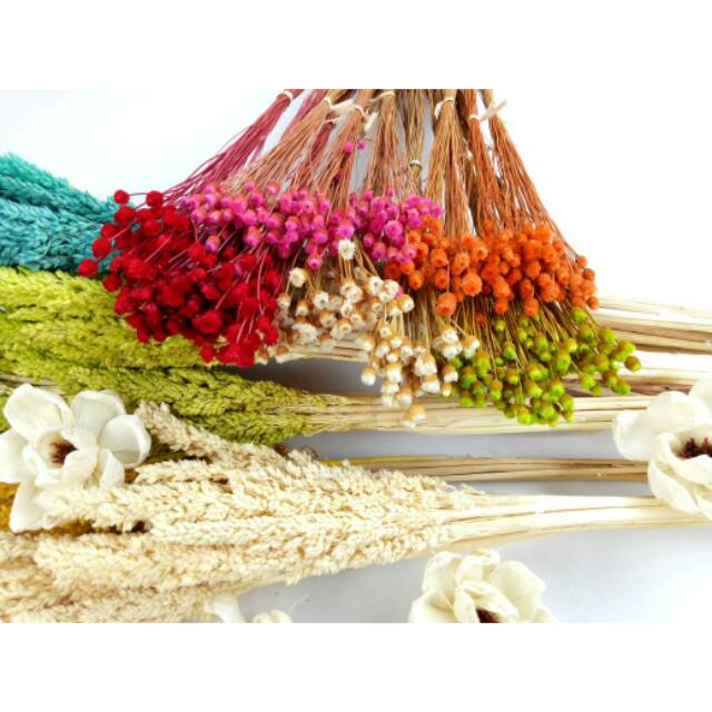 Jual Bunga Happy Mini isi 50pcs bunga sangat kecil | Shopee Indonesia