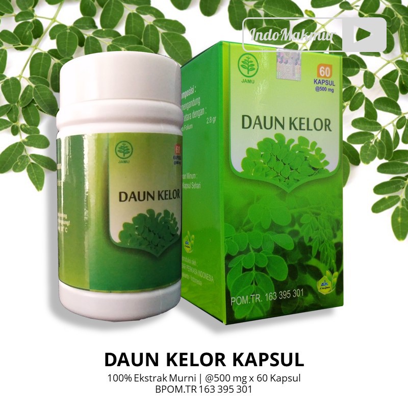 Jual Kapsul Daun Kelor Moringa Oleifera Isi 60 Kapsul Ekstrak Asli ...