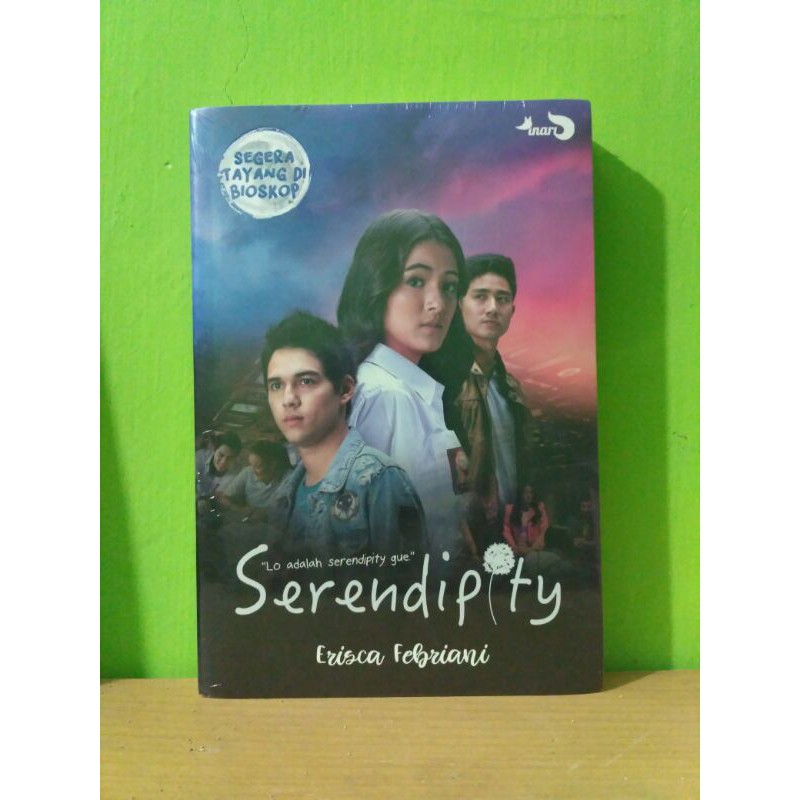 Jual Novel Serendipity by Erisca Febriani | Shopee Indonesia