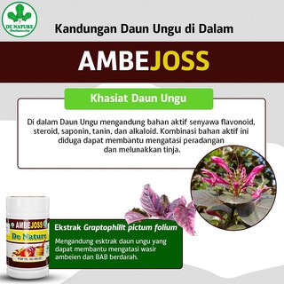 Jual Obat Wasir Atau Ambien Herbal Ambe Joss Dan Salwa De Nature ...