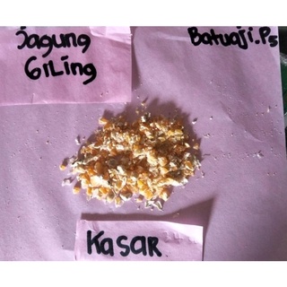 Jual 1 kg Jagung Giling Pakan Ayam Burung Merpati Bebek Unggas Halus ...