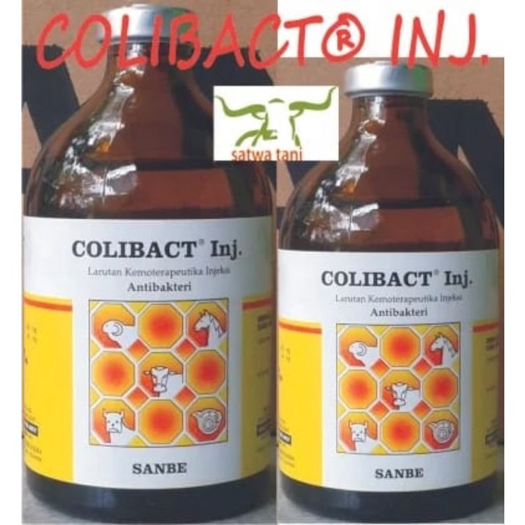 Jual Colibact Inj. 100 ml (diare dan batuk) | Shopee Indonesia Jual Colibact Inj. 100 ml (diare dan batuk) | Shopee Indonesia