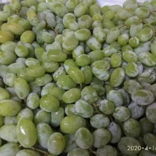 Jual Buah Anggur Hijau Segar Import Australia | Anggur Hijau Calmeria ...