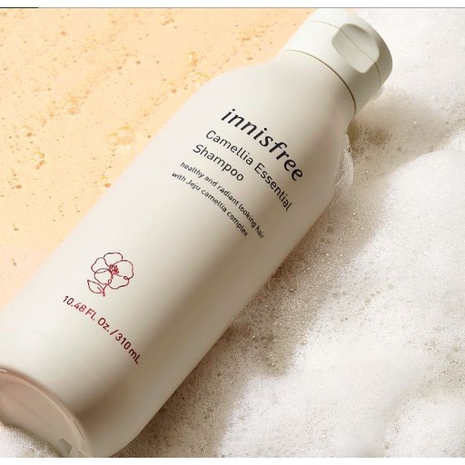 Jual Innisfree - Camellia Essential Shampoo 310ml For Healthy And ...