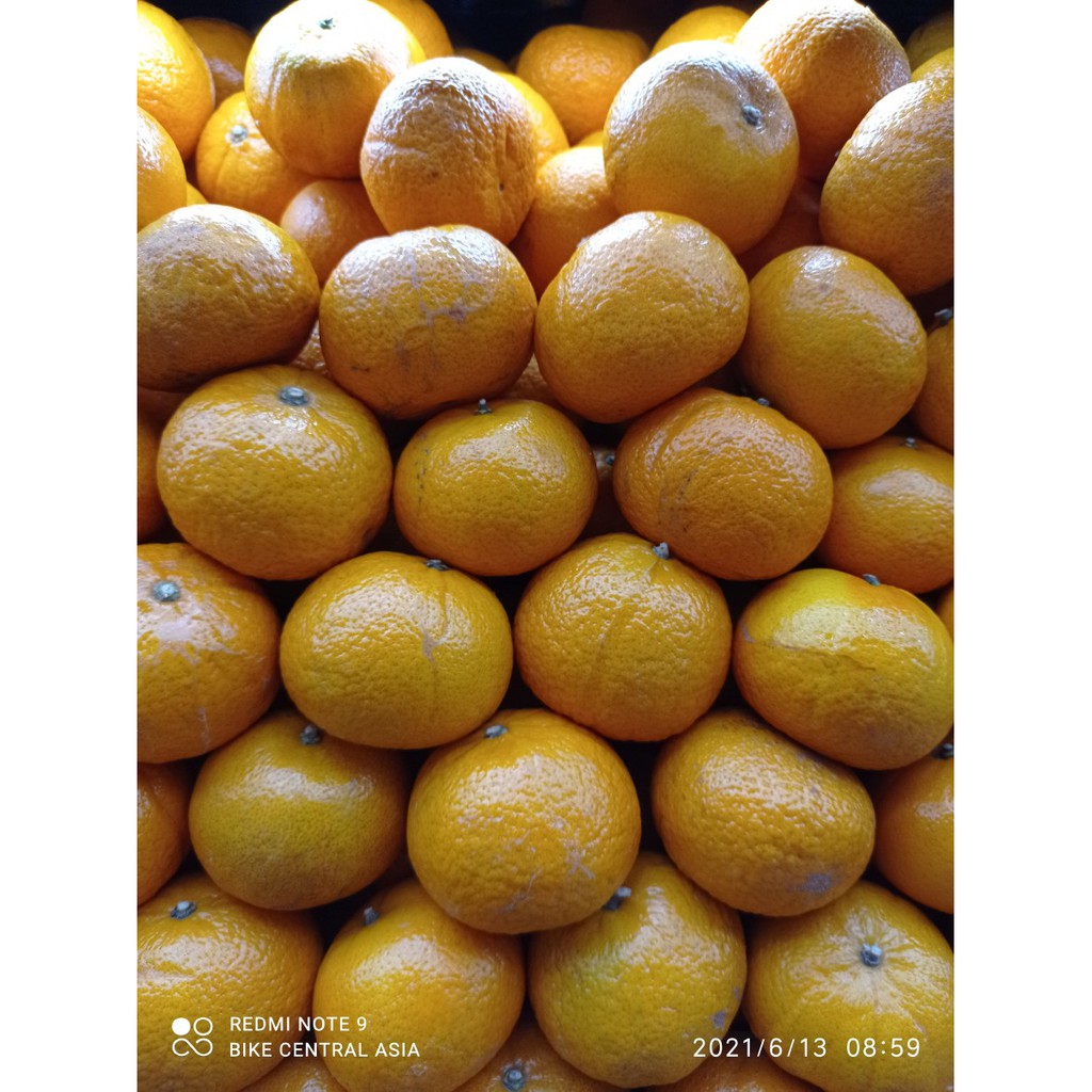 Jual JERUK HONEY MURCOT AUSTRALIA /KG | Shopee Indonesia Jual JERUK HONEY MURCOT AUSTRALIA /KG | Shopee Indonesia