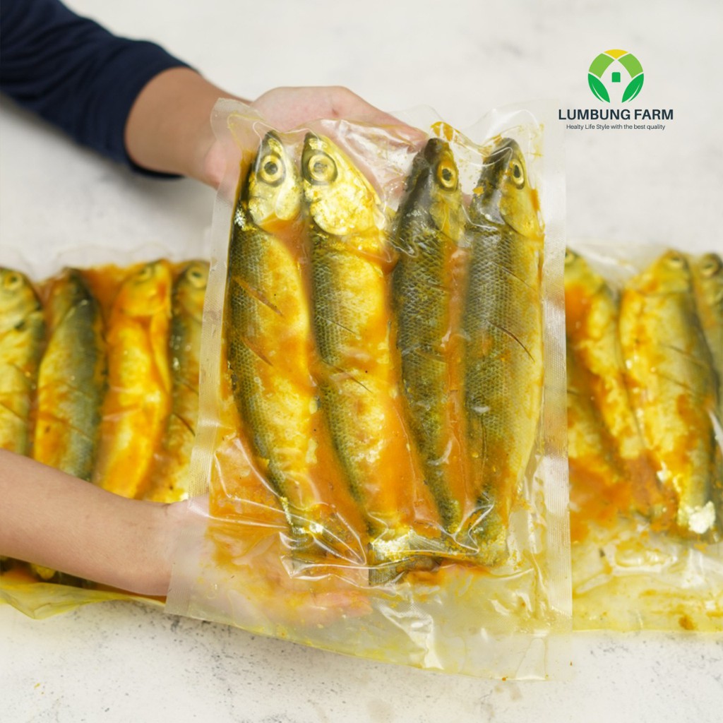 Jual IKAN BANDENG BUMBU KUNING SIAP DI GORENG / DI BAKAR | IKAN SEGAR ...