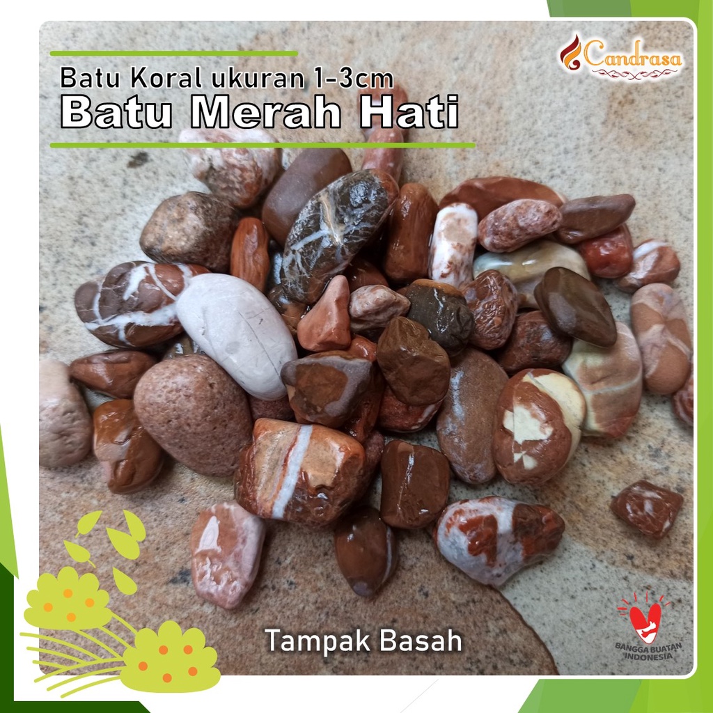 Jual Batu Merah Hati Taman 1 Kg / Batu Koral Merah Marun Aquarium ...