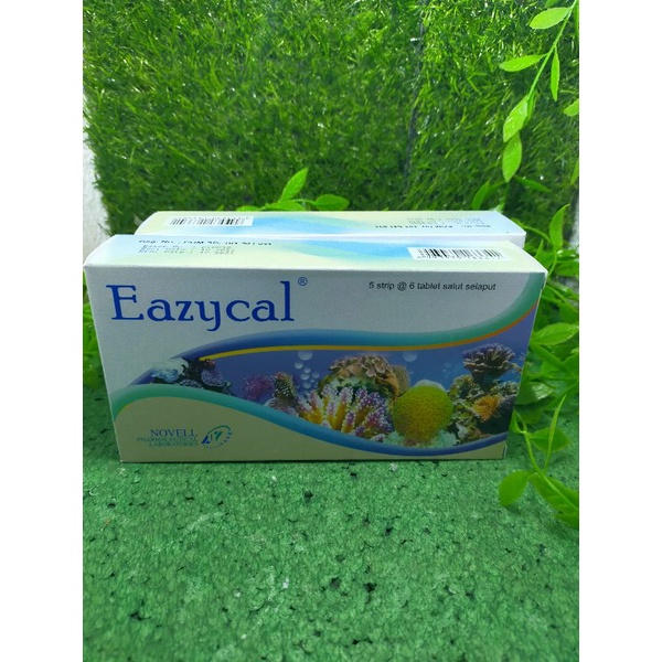 Jual Eazycal/Suplemen untuk tulang | Shopee Indonesia