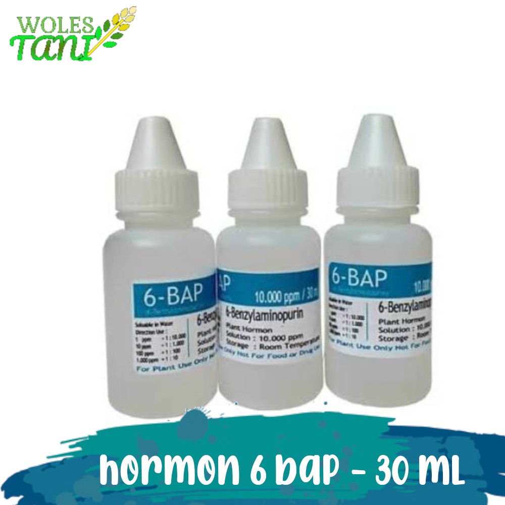 Jual Hormon BAP. 6-BAP BENZYL AMINO PURIN 10.000 ppm 30 ml | Shopee ...