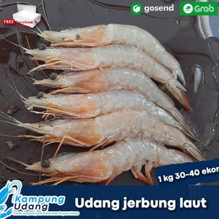 Jual Wajib Baca Deskripsi - Ready Udang Jerbung Laut-Banana / Udang ...