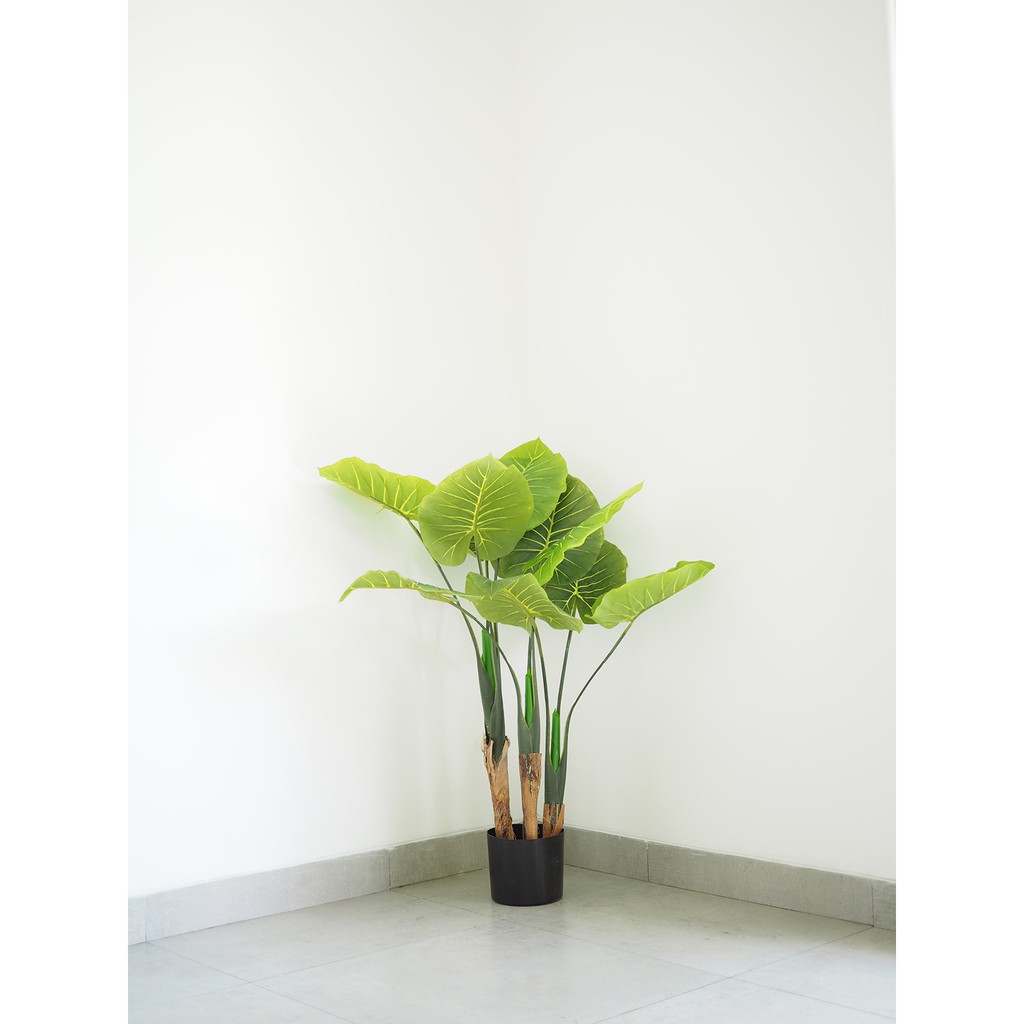 Jual Pohon Artificial Taro Plant 1.15 Meter (PH002) | Shopee Indonesia
