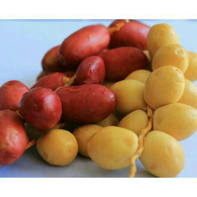 Rutob Kurma Muda Segar Promil Busui Bumil | Shopee Indonesia