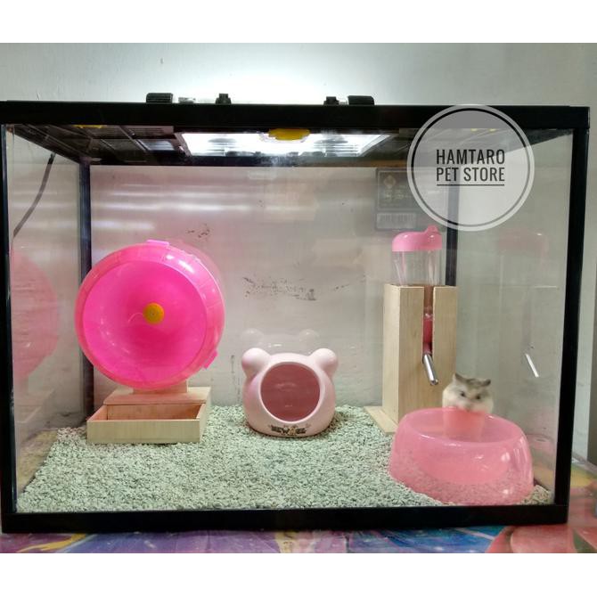 Jual Terarium Kandang Hamster aquarium Fullset medium | Shopee Indonesia
