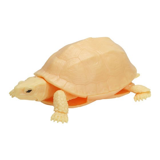 Jual SPLIT Leucistic Box Turtle Kame 04 Ikimono Bandai Gacha Figure ...