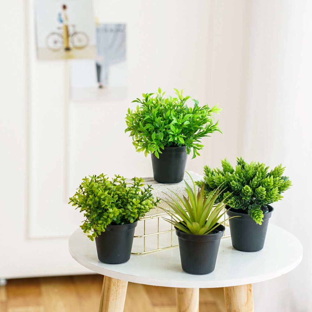 Jual Artificial Plant Tanaman Hias Imitasi | Shopee Indonesia
