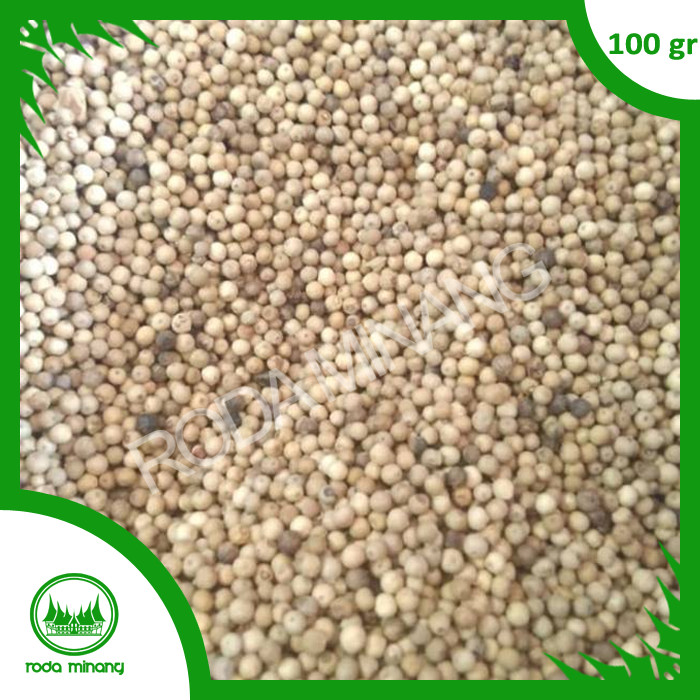 Jual Lada bulat / Merica bulat putih utuh / Whole white papper - 100 ...