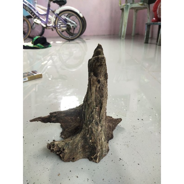 Jual kayu rentek aquascape | Shopee Indonesia
