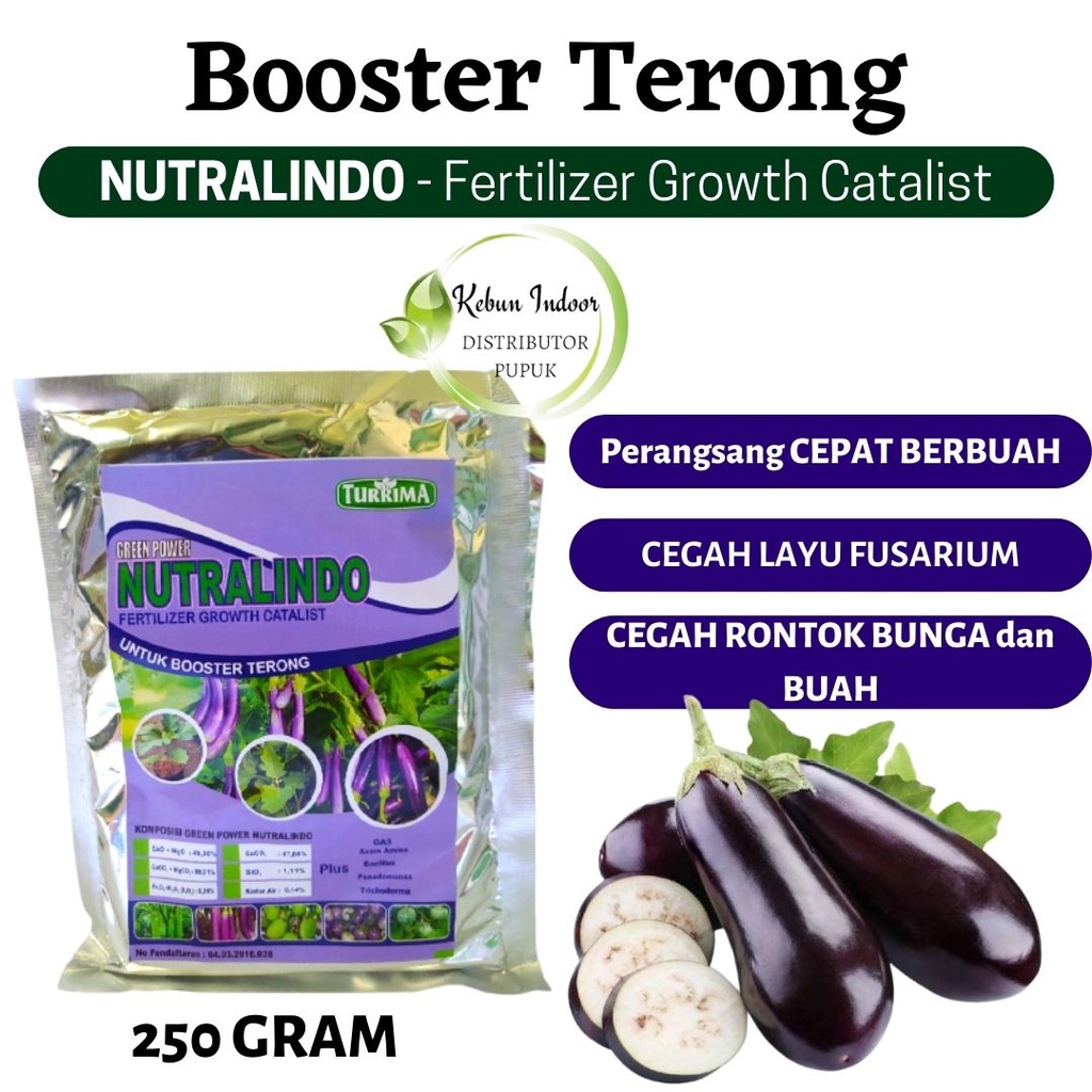 Jual Pupuk Organik Booster Terong Berbuah Lebat, Obat Penyakit Terong ...