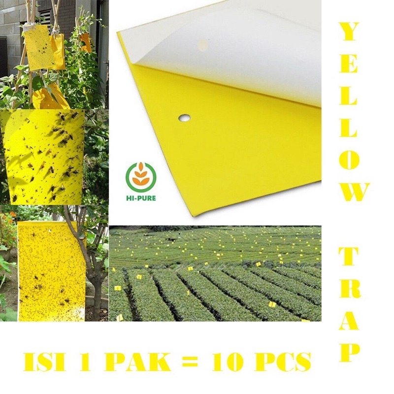 Jual yellow trap (1 pack = 10 lembar) insect trap perangkap serangga ...