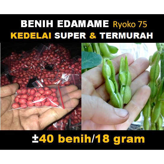 Jual benih edamame Harga Terbaik & Termurah Maret 2023 | Shopee Indonesia
