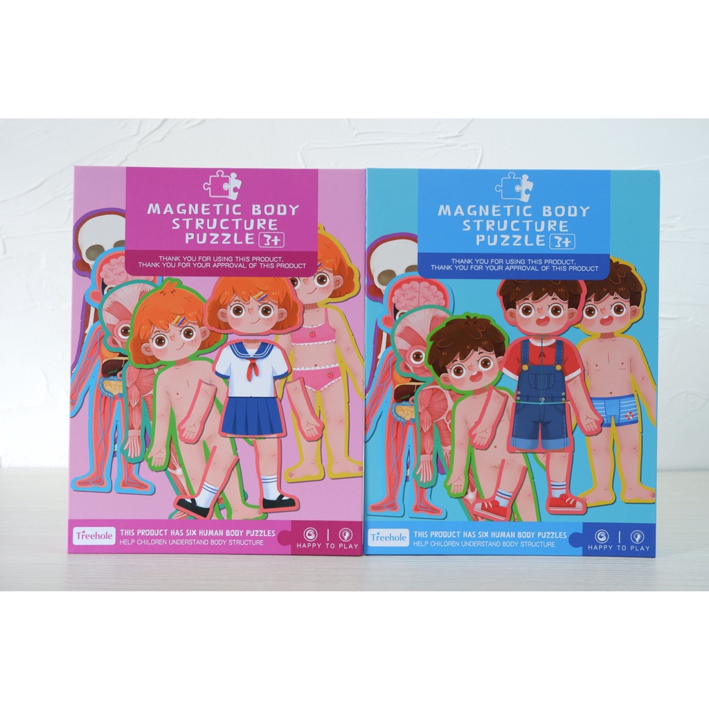 Jual HUMAN BODY MAGNET, Belajar Mengenal Organ Tubuh untuk Anak | Shopee Indonesia