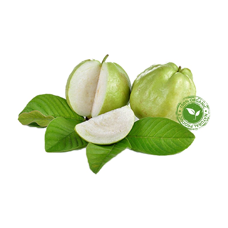 Jual Jambu kristal 1kg tanpa biji | Shopee Indonesia