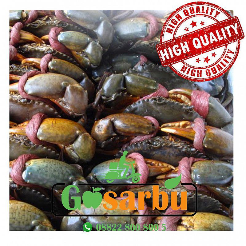Jual Kepiting isi 3 (1kg) | Shopee Indonesia