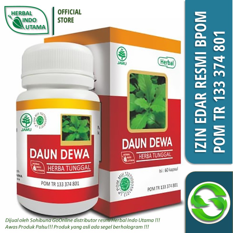 Jual HIU-Daun Dewa, Obat Herbal untuk TB Paru, Tumor, Ganglion, Kista ...