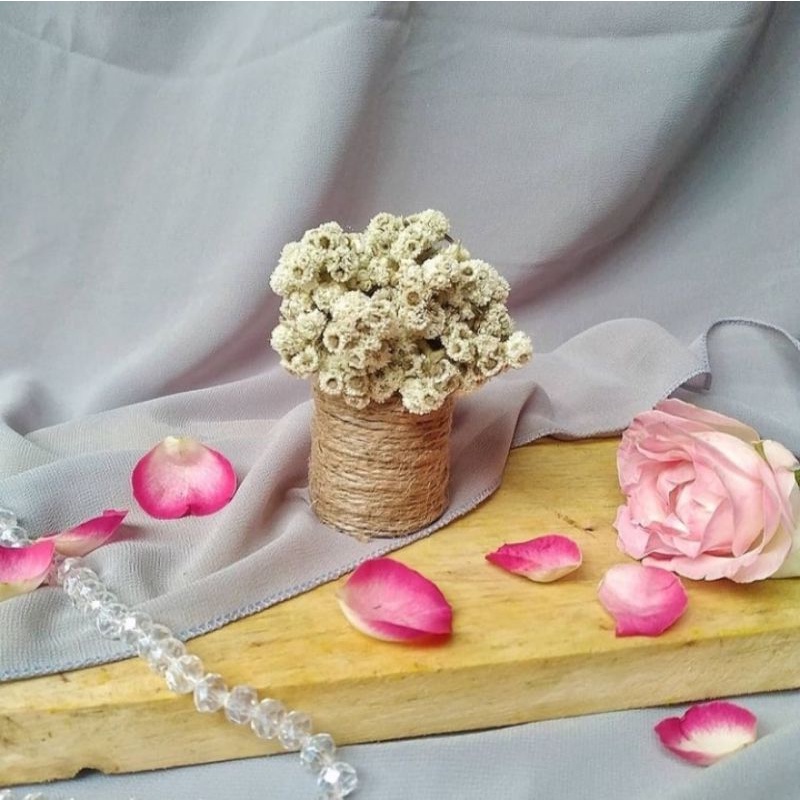 Jual Bunga edelweis dalam vas | Shopee Indonesia