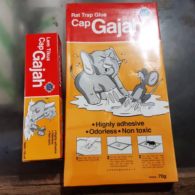 Jual Lem tikus cap gajah odol dan papan | Shopee Indonesia