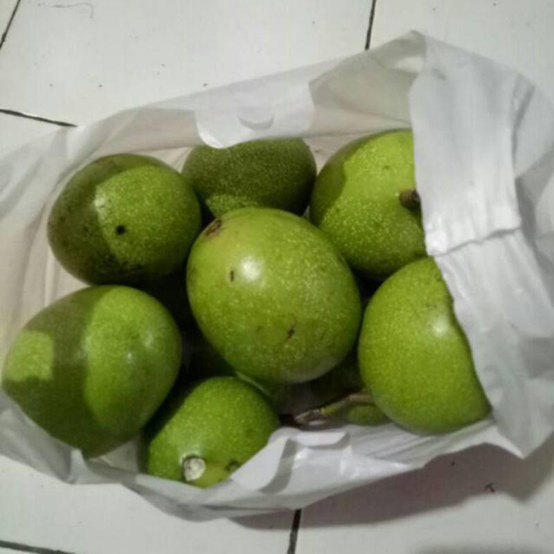 Jual Buah Bintaro Segar 1kg Shopee Indonesia