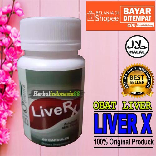 Jual OBAT LIVERX OBAT PEMBERSIH HATI DAN KESEHATAN JANTUNG | LIVER X ...