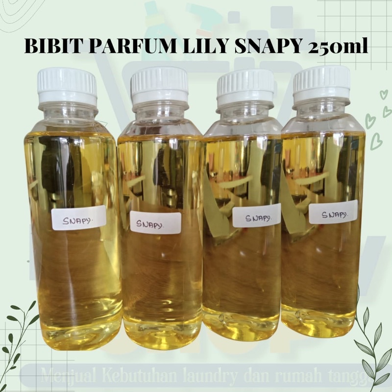Jual Bibit parfum laundry / biang parfum laundry / parfum laundry 250 ml snapy | Shopee Indonesia