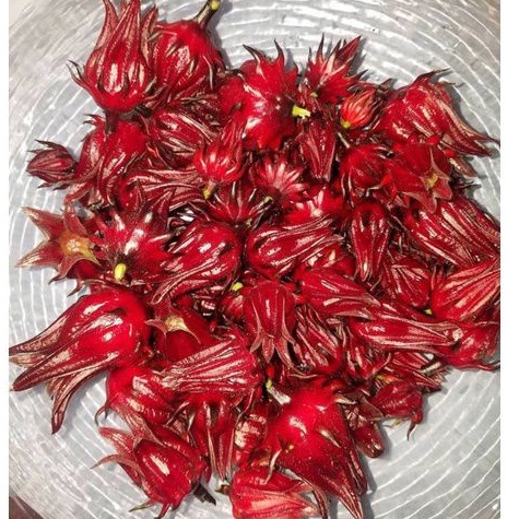 Jual Bunga rosella merah ungu/teh rosela ungu/rosela kering | Shopee ...