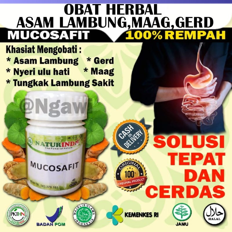 Jual Obat Asam Lambung Maag Obat Lambung Herbal Asam Lambung Maag ...