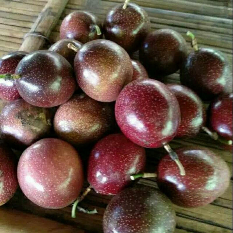 Jual Buah Markisa Merah Indonesia|Shopee Indonesia