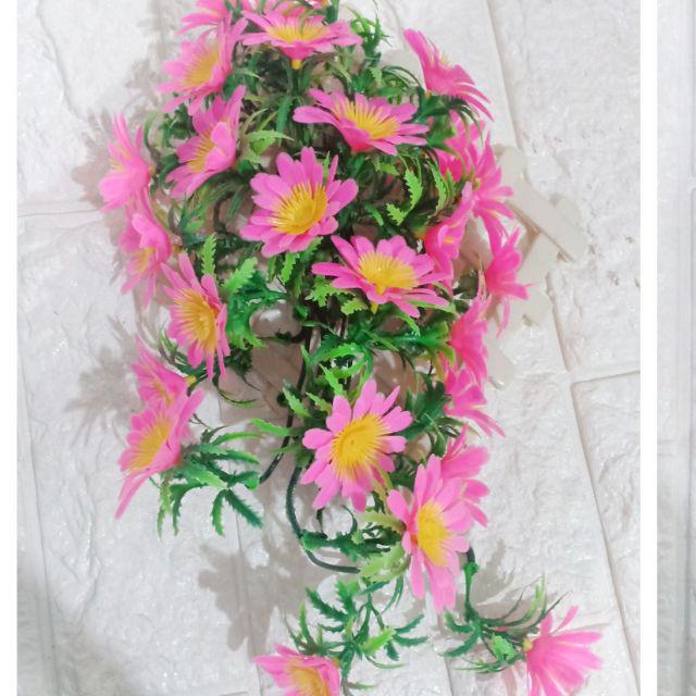 37+ Contoh Dekorasi Bunga Juntai Terpopuler - Informasi Seputar Tanaman ...