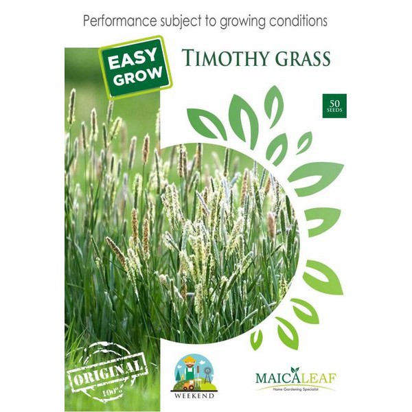 Jual Benih Rumput Timothy/Bibit Rumput Timothy Grass - isi 50 Benih ...