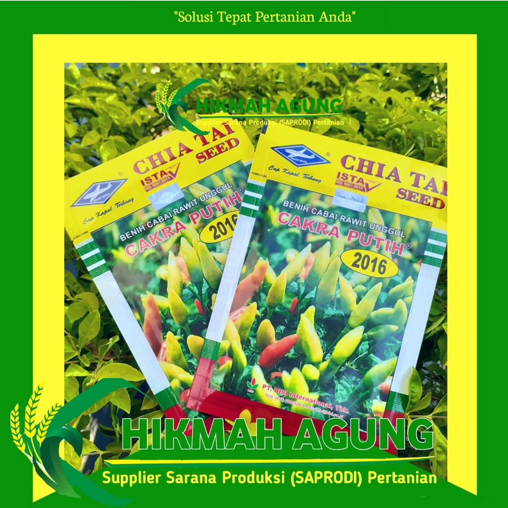 Jual Benih Cabai Rawit Unggul Cakra Putih 10 gram - Cap Kapal Terbang ...