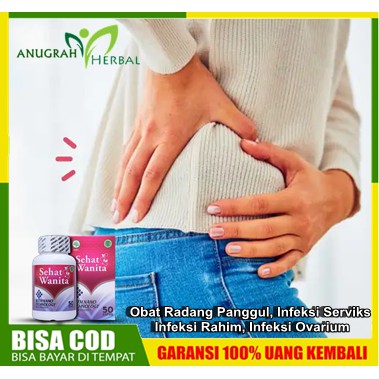Jual Obat Radang Panggul Herbal , Infeksi Serviks, Infeksi Rahim ...